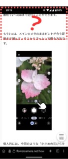 【Android版Gmail】PixelでGmailだけ通知のポップアップが出ない場合はココをチェック – 初心者さんにやさしい ミラーレス一眼写真教室